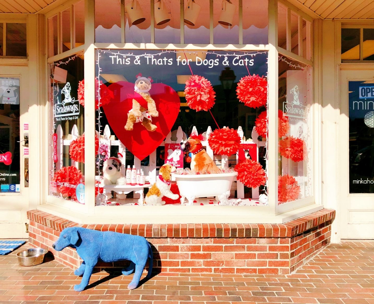 Win An Exciting Day Out Of Your Choosing For You And Your Pet Shop Team ...