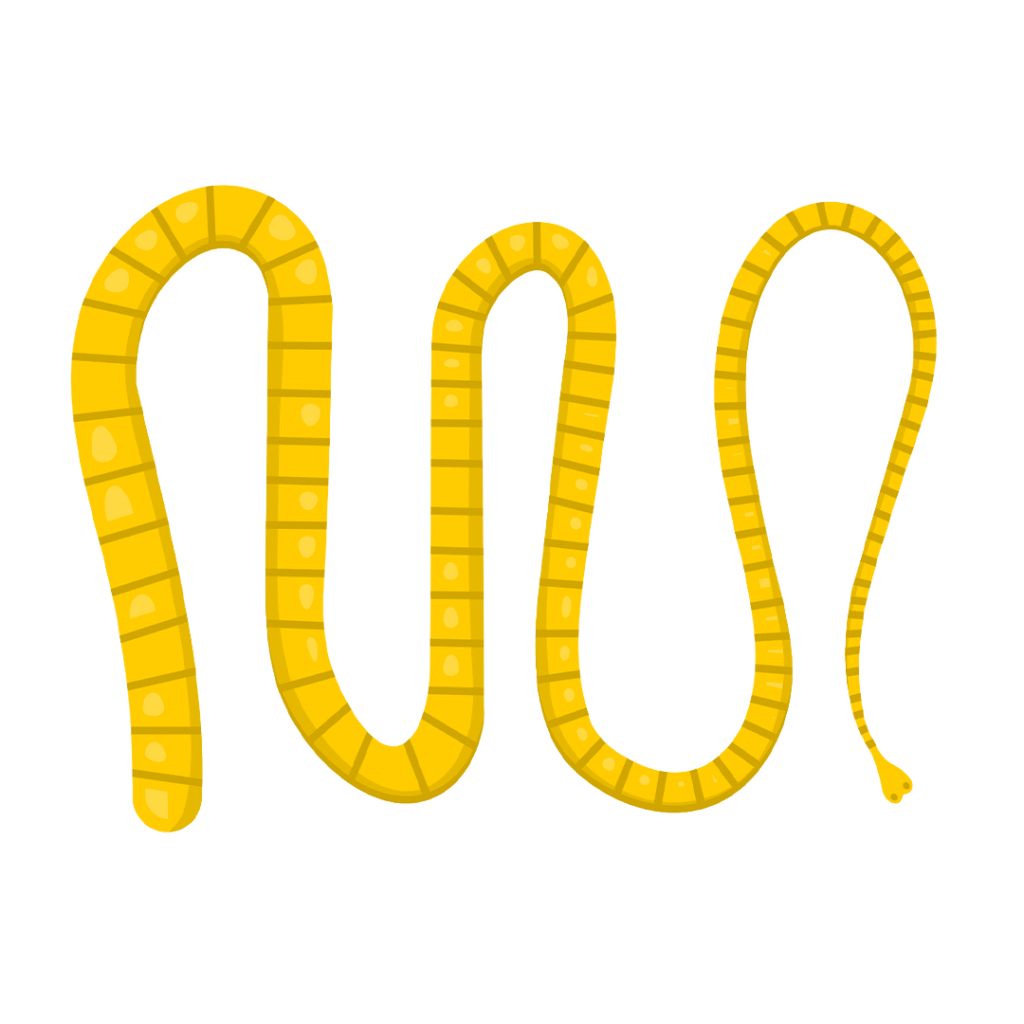 Know Your Pet Parasite | Johnsons Veterinary Products